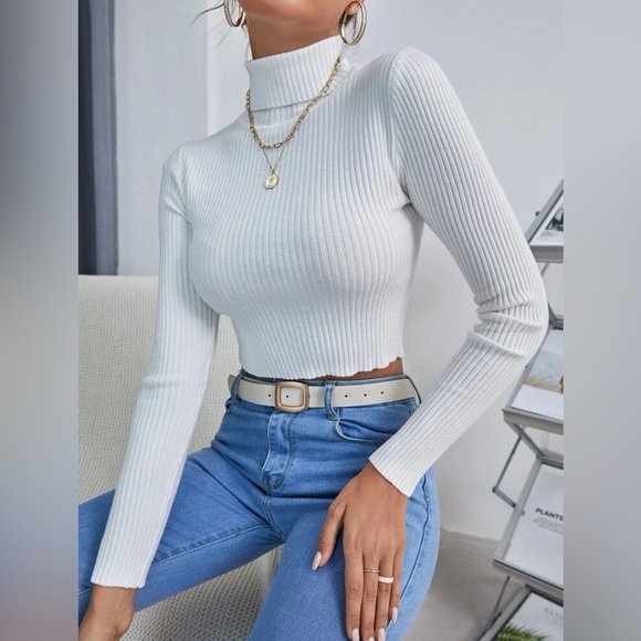 SHEIN | Tops | Shein Essnce Solid High Neck Rib Knit Crop Sweater | Poshmark